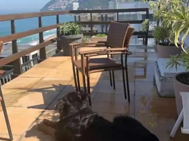 Cobertura para Venda em Rio de Janeiro/RJ Leblon 4 Quartos