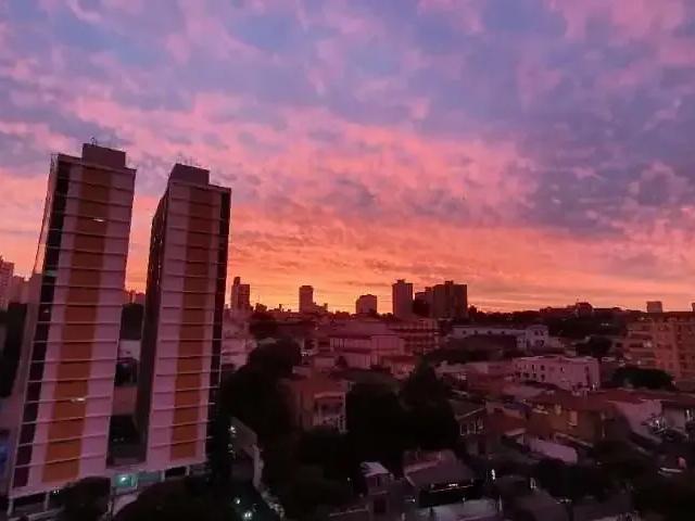 Cobertura para Venda em São Paulo/SP Vila Monumento 3 Quartos
