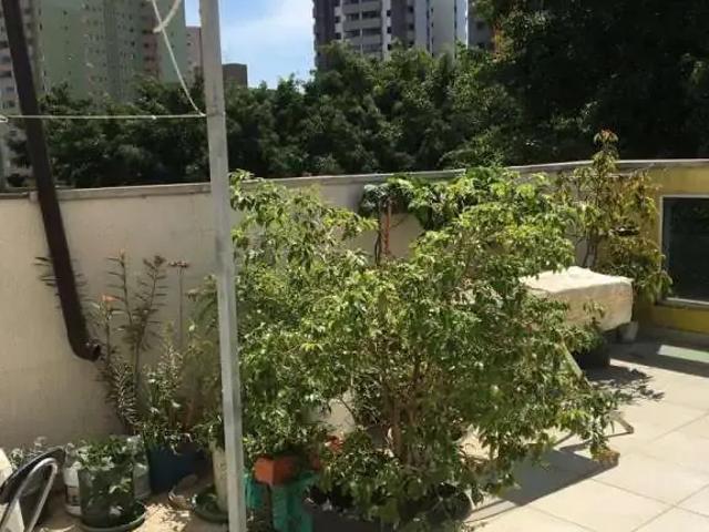 Cobertura para Venda em Santo André/SP Jardim Bela Vista 2 Quartos