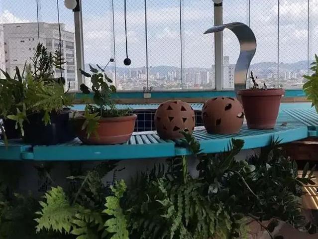 Cobertura para Locação em Guarulhos/SP Vila Camargos 3 Quartos