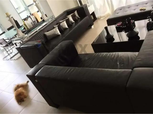 Cobertura para Locação em Sorocaba/SP Parque Campolim 3 Quartos