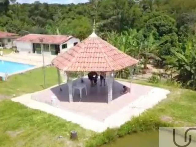 COCALZINHO GO FAZENDA
