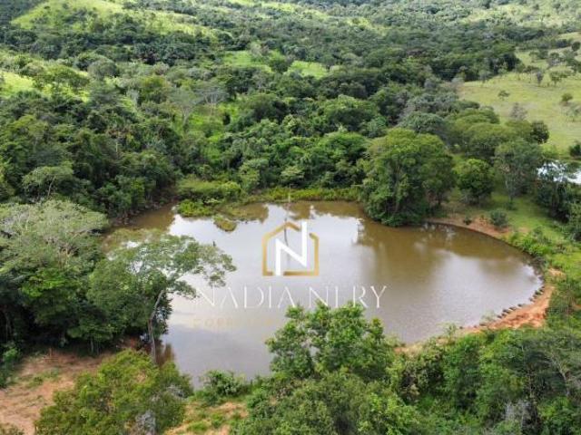 COCALZINHO GOIÁS FAZENDA À VENDA