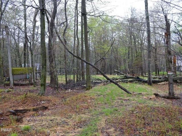 Cochise Trl Lot 14, Gouldsboro, PA 18424