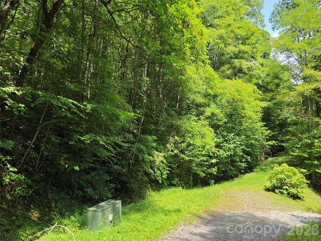 Cocker Spaniel Ct Lot 17, Whittier, NC 28789