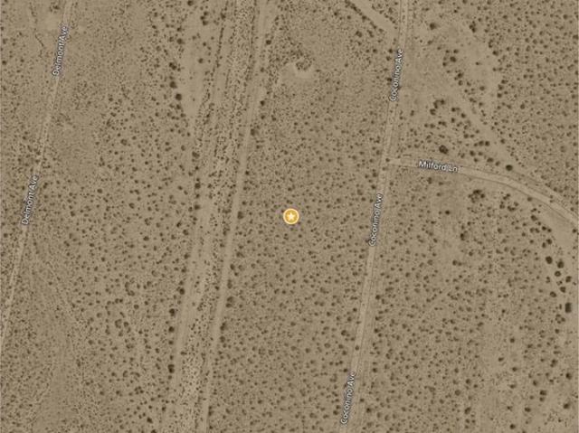 Coconino, Hesperia, CA 93516