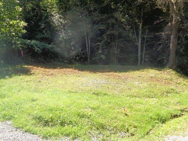 Coconut Dr, War, WV 24892