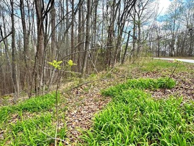Coconut Ridge Rd, Smithville, TN 37166