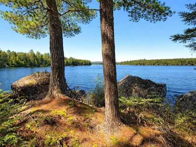 Cody Way, Lakeville, Plot For Sale