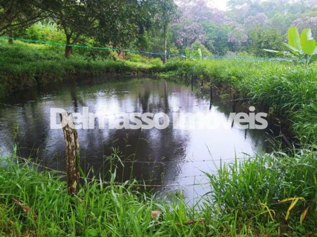 COD.6529 IBIÚNA, SÍTIO COM 47.600 M² APENAS 1 KM DA ESTRADA DE TERRA!