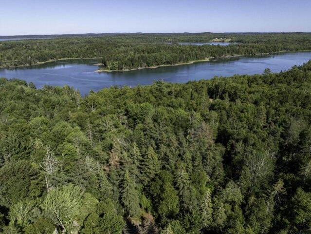 Coffins Neck Rd Lot,lubec, Plot For Sale