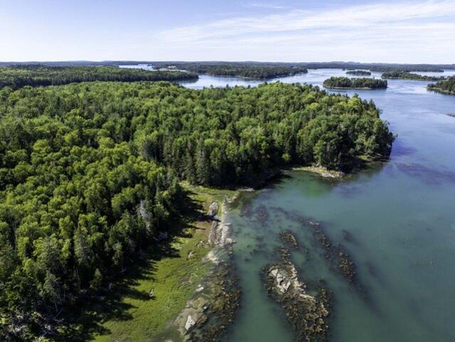 Coffins Neck Rd Lot,lubec, Plot For Sale