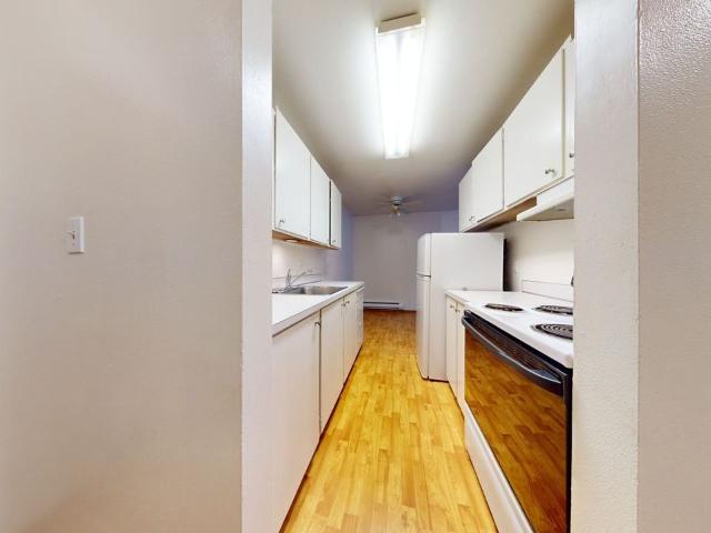 Coho 1 Bedroom Apartment for Rent at 4120 Brooklyn Ave Ne, Seattle, WA 98105 University District