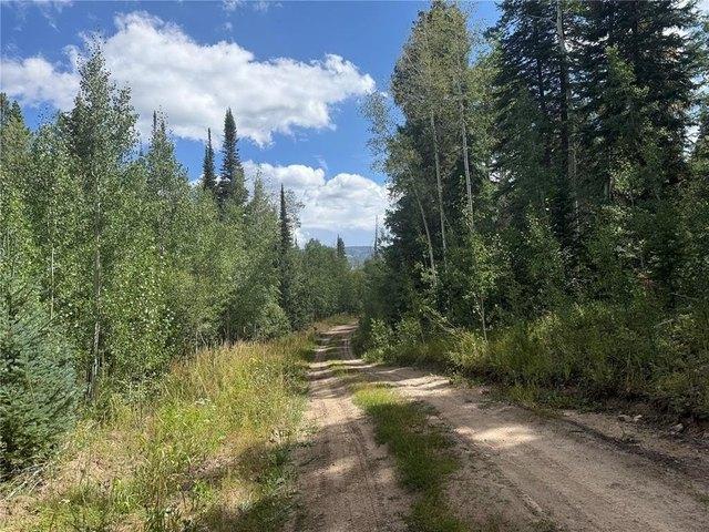 Colt Trl Lot 16, Oak Creek, CO 80467