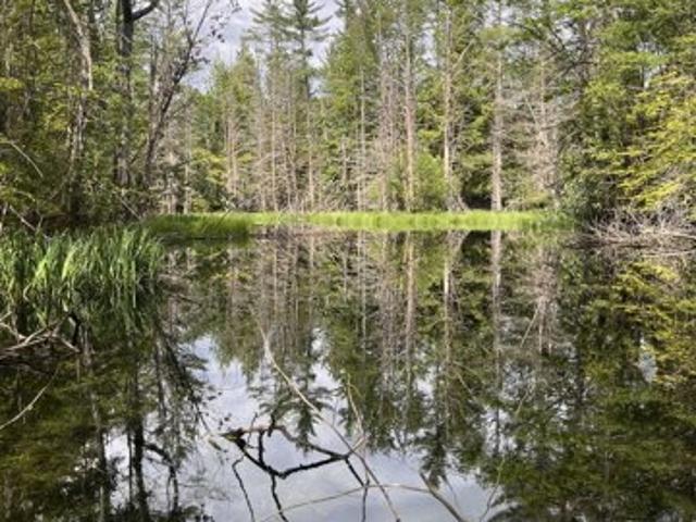 Columbus Jordan Rd, Plainfield, Plot For Sale