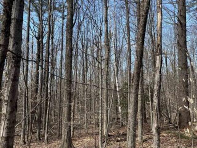 Columbus Jordan Rd, Plainfield, Plot For Sale