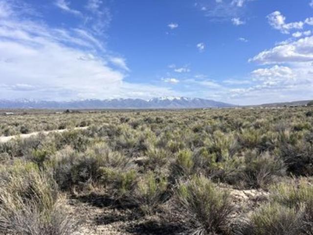 Columbia River Blvd, Elko, NV 89801