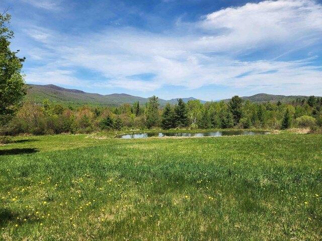Colvin Hill Rd, Danby, Home For Sale