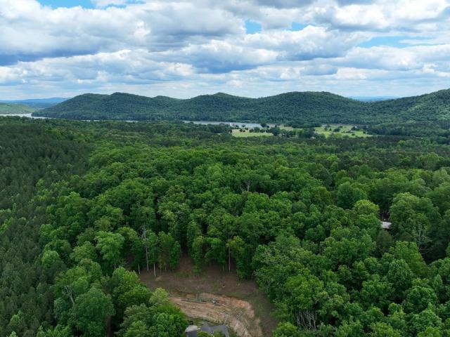 Colvin Springs Road # 6