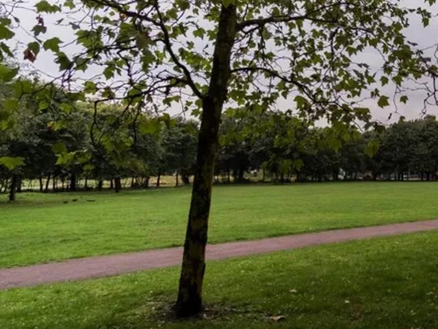 Colvin's Florist, 53 Burdett Road, London, E3 4TN, United Kingdom | 4 bed house for rent #154576658 | Rentberry