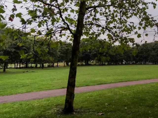 Colvin's Florist, 53 Burdett Road, London, E3 4TN, United Kingdom | 4 bed house for rent #155179442 | Rentberry