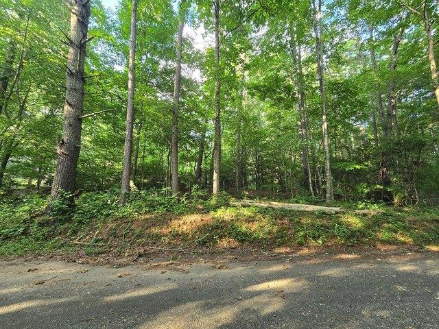 Colwell Church Rd, Epworth, GA 30541