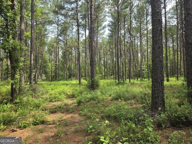 Colby Dr, Dublin, GA 31021