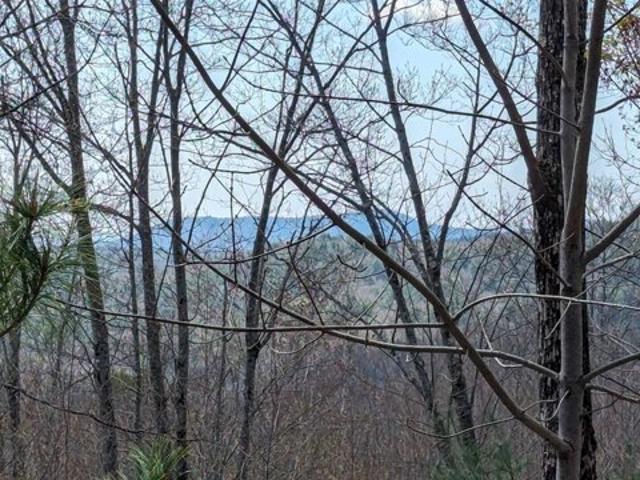 Colby Hill Rd, Hillsborough, Home For Sale