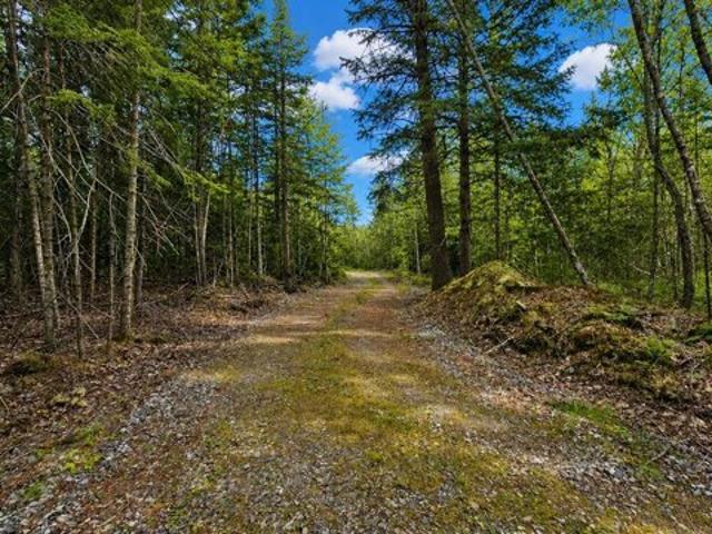 Colby Rd Lot,westport Island, Plot For Sale