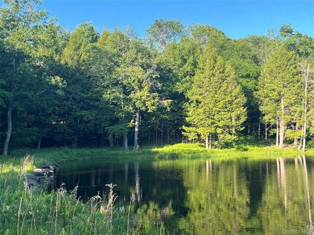 Cold Creek Pass, Parksville, Plot For Sale