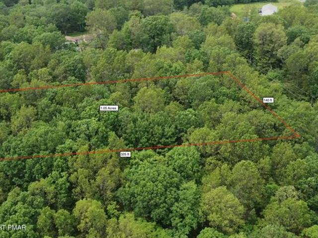 Cold Spring Dr, Jim Thorpe, PA 18229