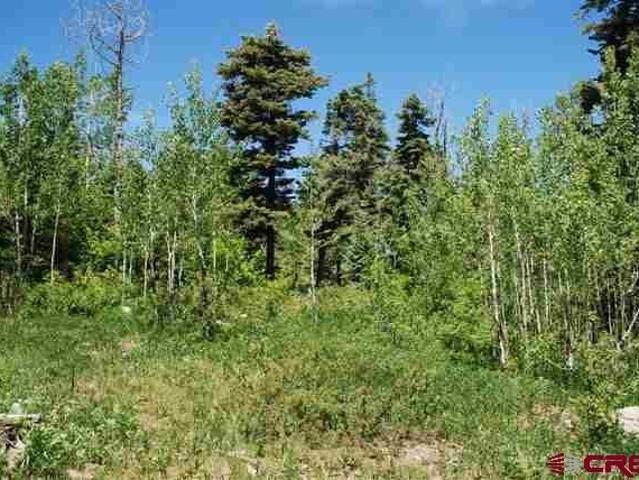 Cold Springs Ct, Pagosa Springs, CO 81147