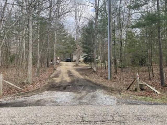 Cold Springs Rd
