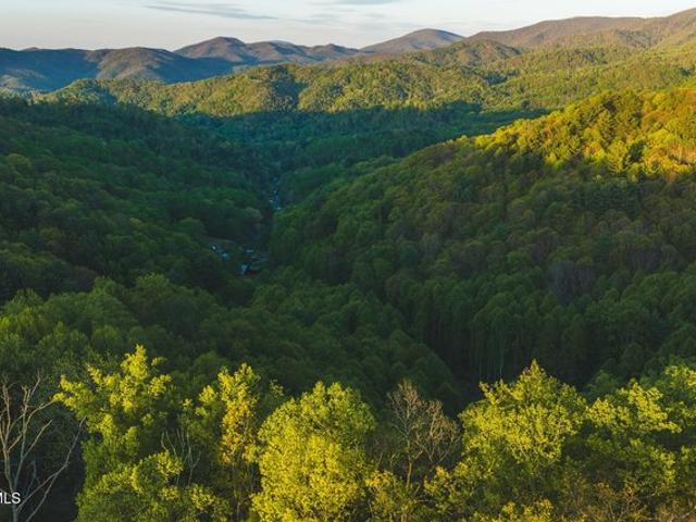 Cole Rd, Flag Pond, TN 37657