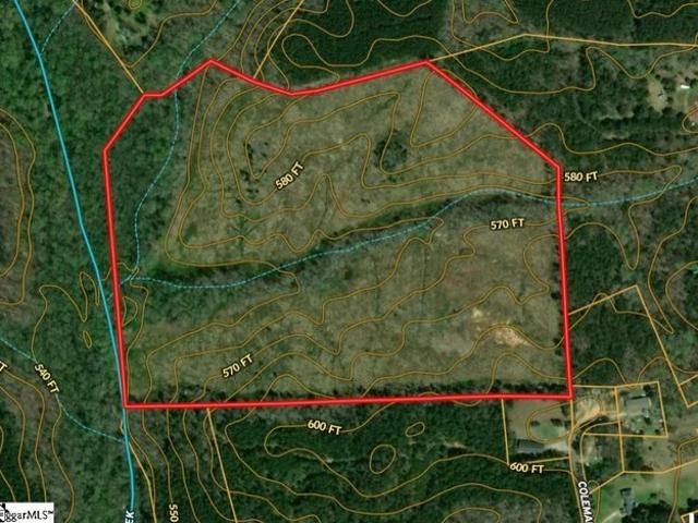 Coleman Rd, Clinton, SC 29325