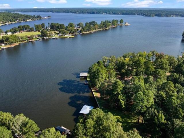 Coleman Rd, Homer, Home For Sale