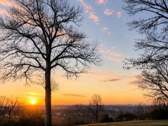 Coles Ave, Mountainside, Home For Sale