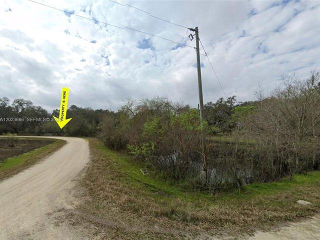 Coley Saint, FL 33697