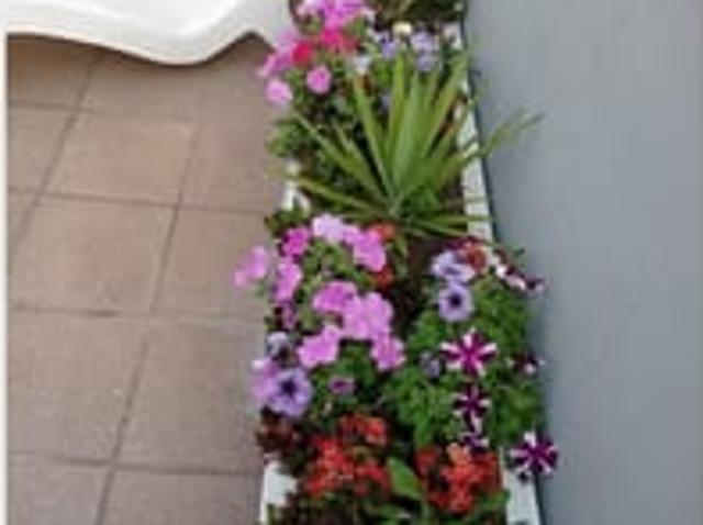 @coliving @Hospedaria @Quartos para alugar @Hostel @pensao