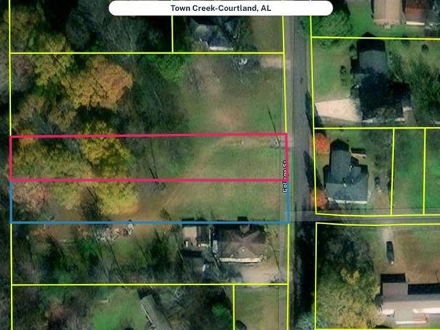 College St, Courtland, AL 35618