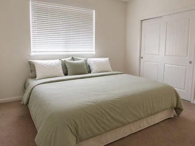 College students looking for roommates