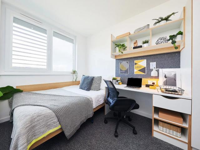 Collegiate The Pastures Colchester Student Accommodation, UK| Amber