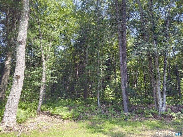 Collelo Ave, Plainfield, CT 06354