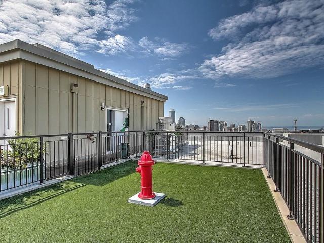 Collins on Pine 1 Bedroom Apartment for Rent at 1601 13th Ave, Seattle, WA 98122 Broadway