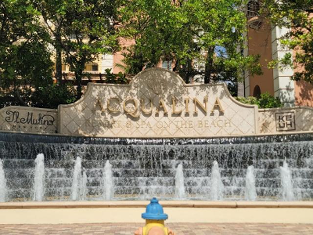 Collins Ave