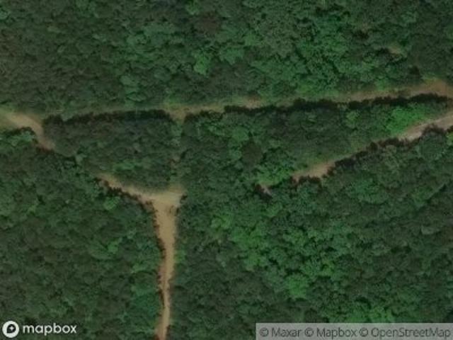 Collins Camp Rd