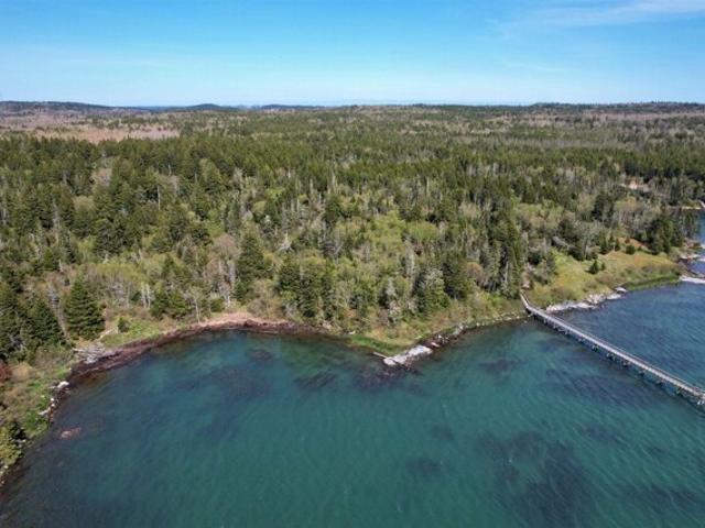 Collins Cove Rd Lot, Machiasport, Plot For Sale