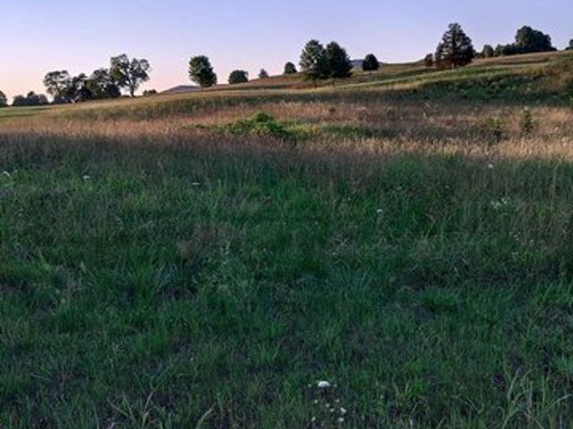Collins River Run Lot 51, McMinnville, TN 37110