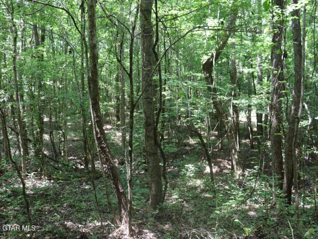 Collums Road, Pontotoc, MS 38863