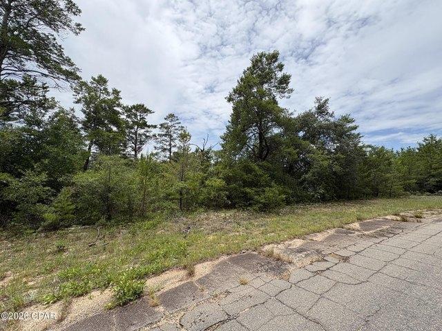 Colmart Dr Lot 29, Chipley, FL 32428